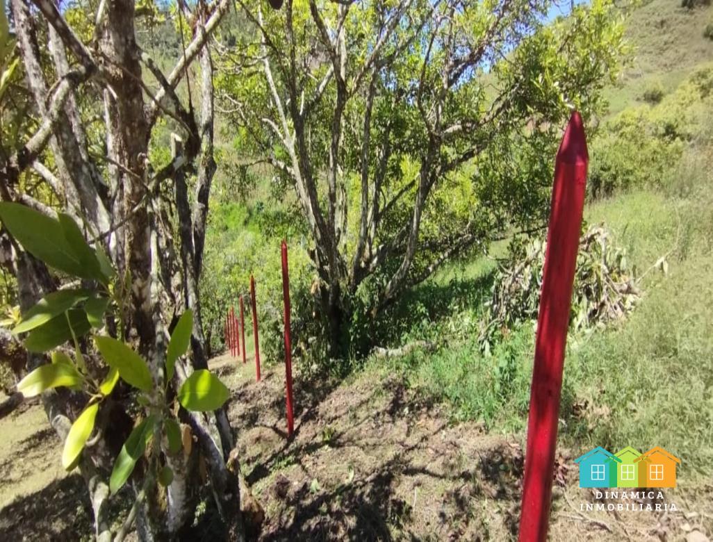 Lotes y parcelaciones en venta - espaciourbano.com